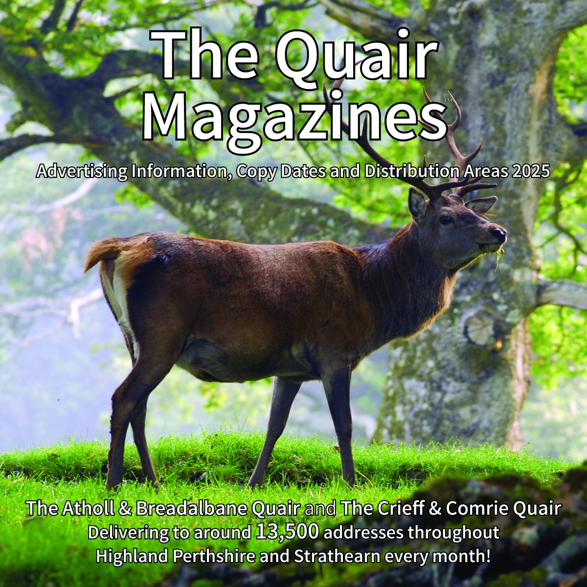 The Quair Magazines – Covering the Pitlochry, Aberfeldy, Dunkeld and ...